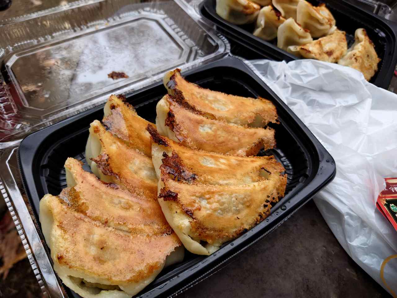 宇都宮餃子祭り٩( ”ω” )و｜IE-LABO（いえラボ）｜太田・桐生・伊勢崎での美しい注文住宅